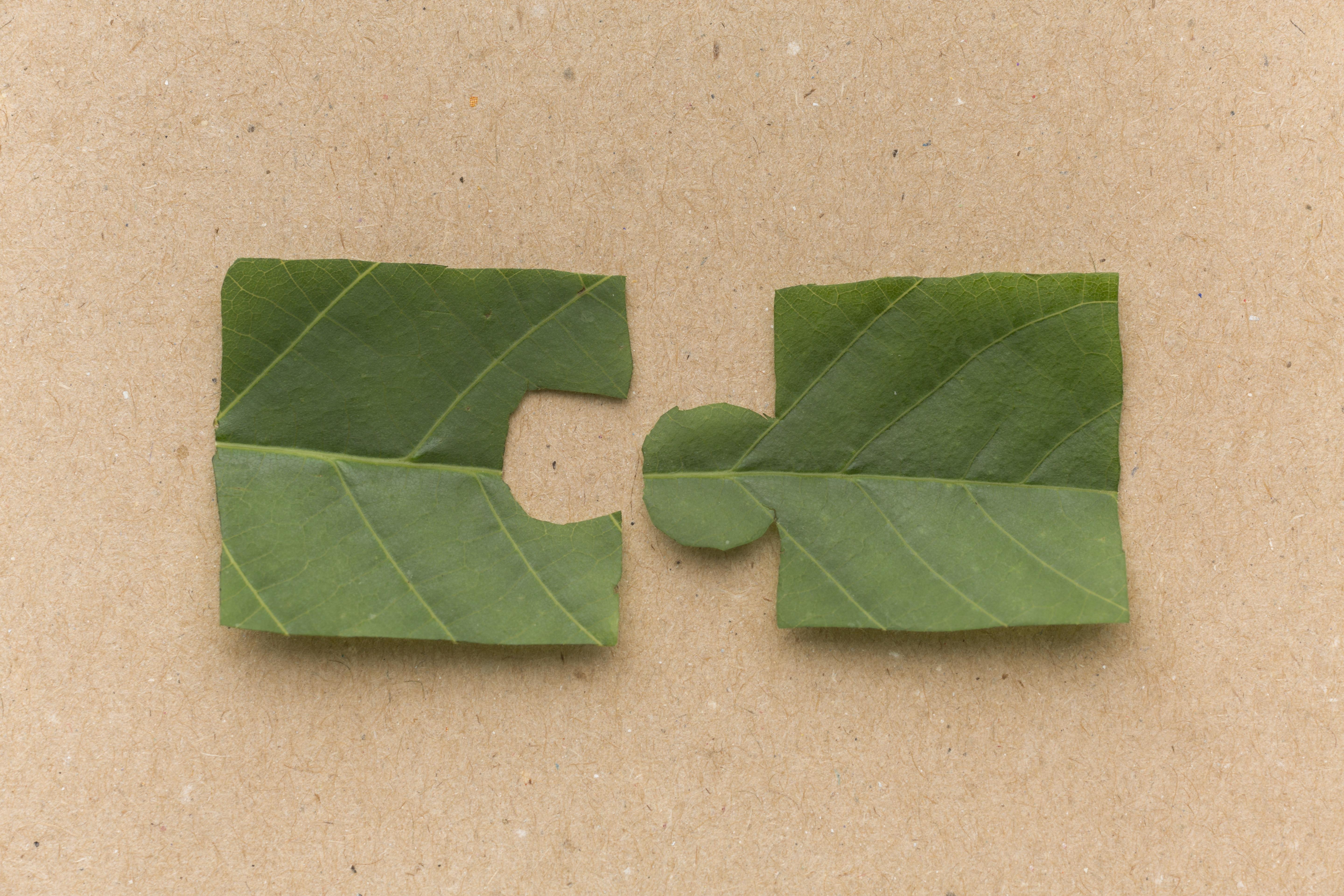 ISO x GHG Protocol: One playbook for carbon accounting is coming